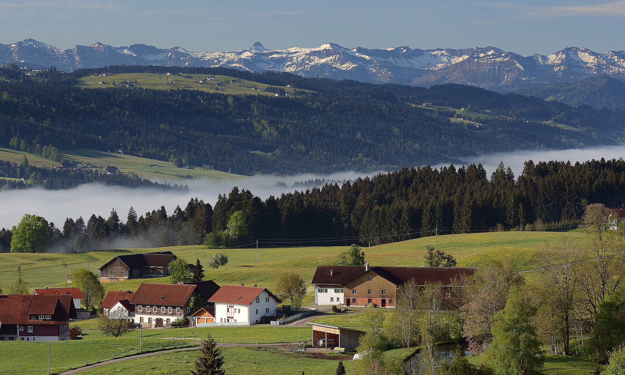 Impressum: Stadt Lindenberg